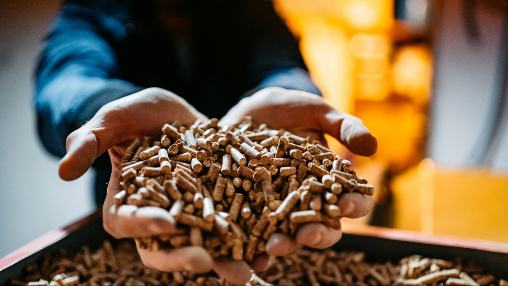 Bioenergy — Efficiency Manitoba