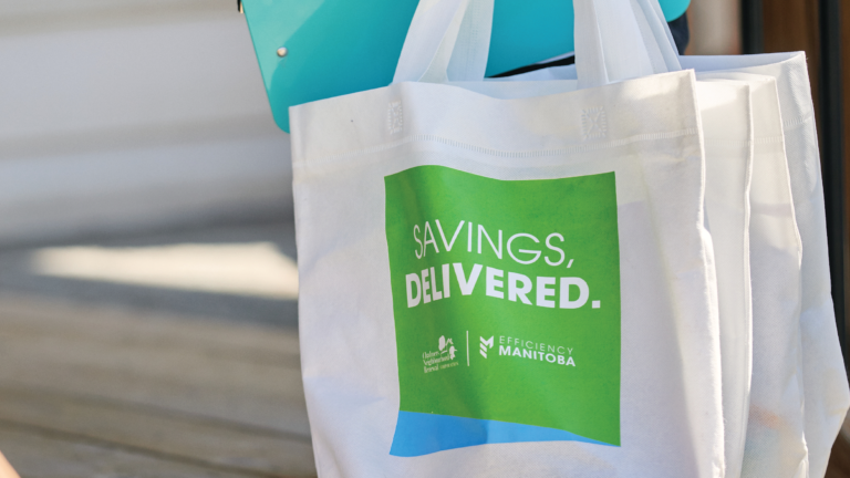 Efficiency Manitoba expands income eligibility for its Energy ...