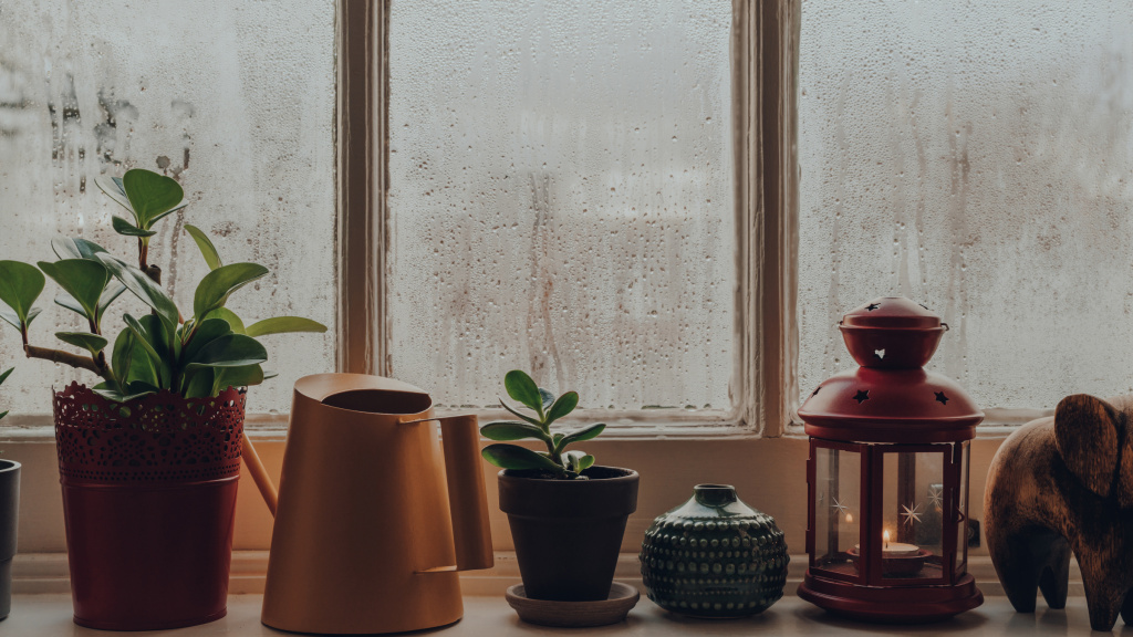 Condensation & humidity — Efficiency Manitoba